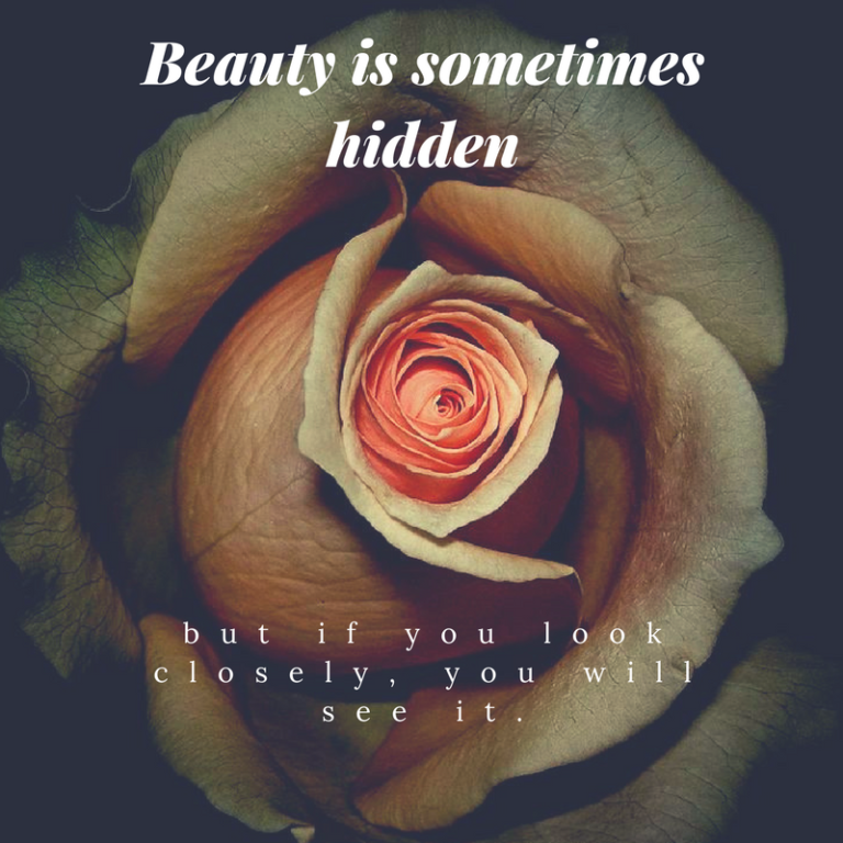 True Beauty Lies Within - Heather Earles