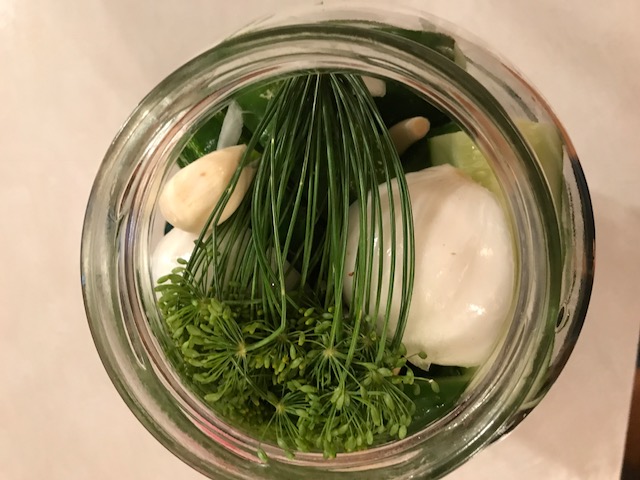How to Make Solar Dill Pickles. Recipe Included - Heather Earles