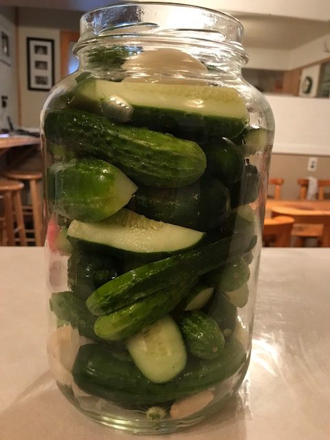 How to Make Solar Dill Pickles. Recipe Included - Heather Earles