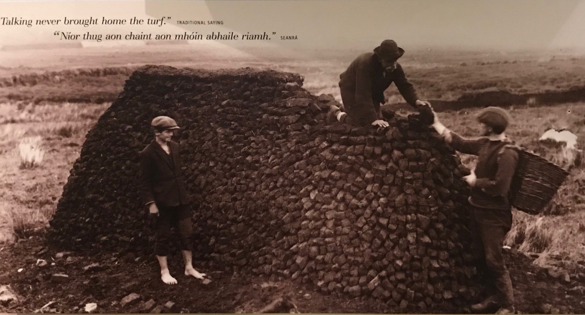 The Cutting of Peat, (Turf) as a Renewable Source of Fuel - Rockne Earles