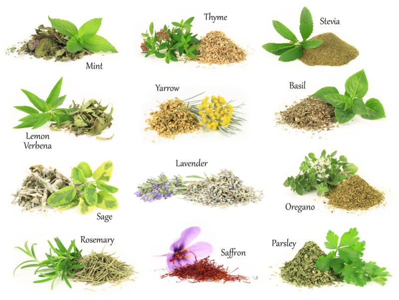 Using Fresh and Dried Herbs - Heather Earles