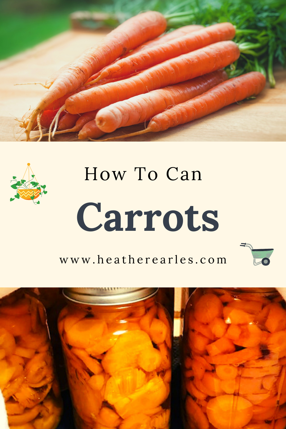 How To Can Carrots Using a Pressure Canner - Heather Earles