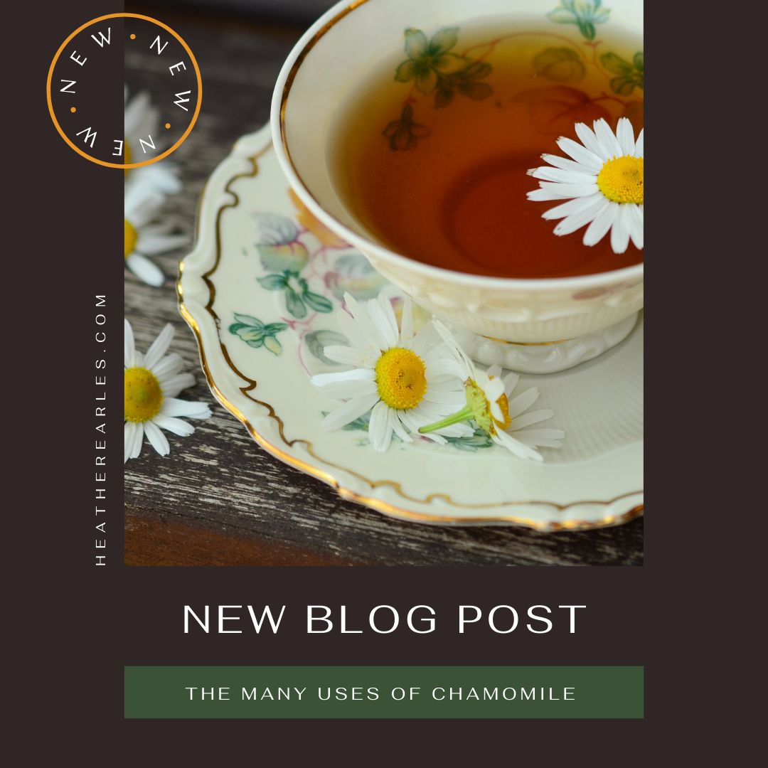 Chamomile and its Many Medicinal and Culinary Uses - Heather Earles